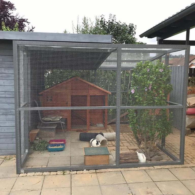 How to rabbit – keep rabbits happy