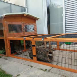 Living on the balcony – How to rabbit