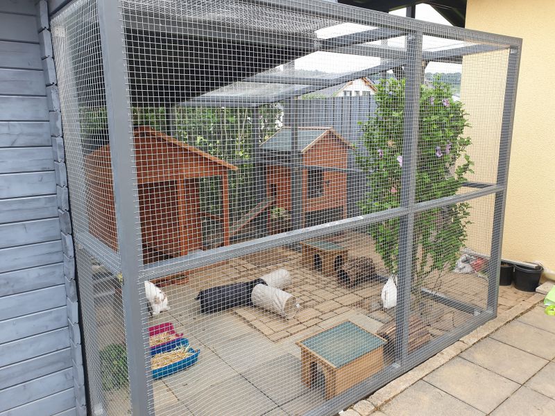 Rabbit Run Ideas Outdoor – How to rabbit