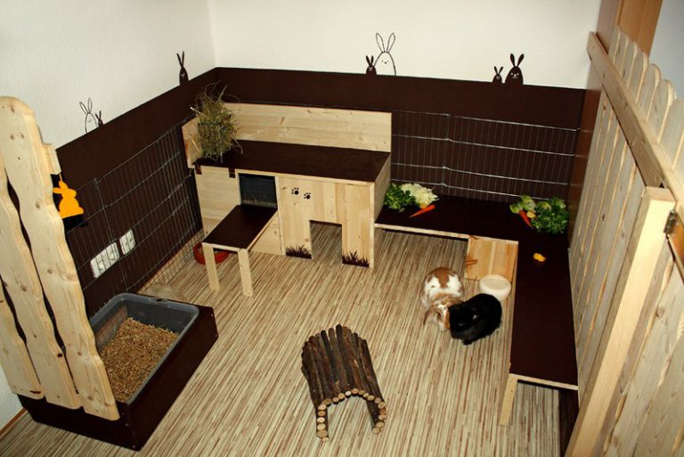 Rabbit Housing Ideas Indoor – How to rabbit