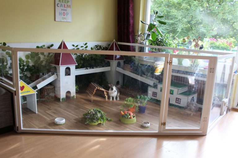 Rabbit Housing Ideas Indoor – How to rabbit