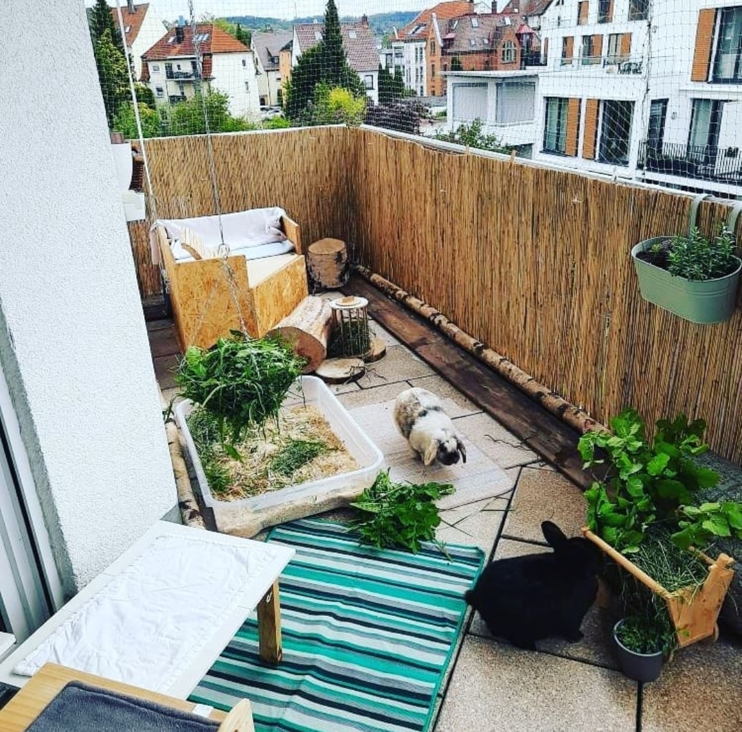 Rabbit Friendly Balcony – How to rabbit
